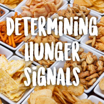 Are You Hungry or Just Bored? - Danette May