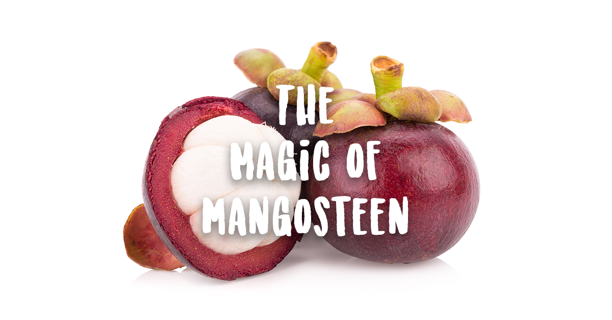 Top 4 Health Benefits of Eating Mangosteen - Danette May